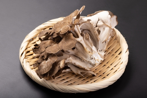 Maitake a její účinky nejen z pohledu TCM - DoplnVitamin.cz